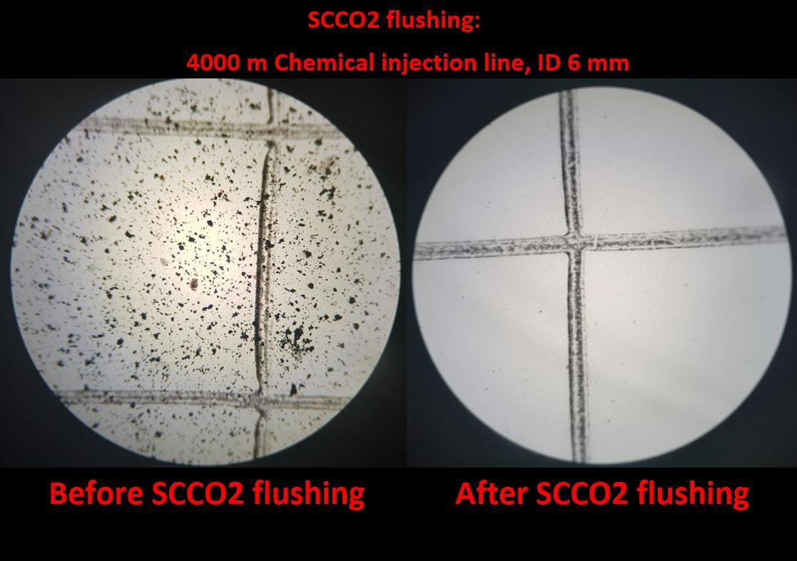 Supercritical Carbon Dioxide Flushing | Technology Catalogue
