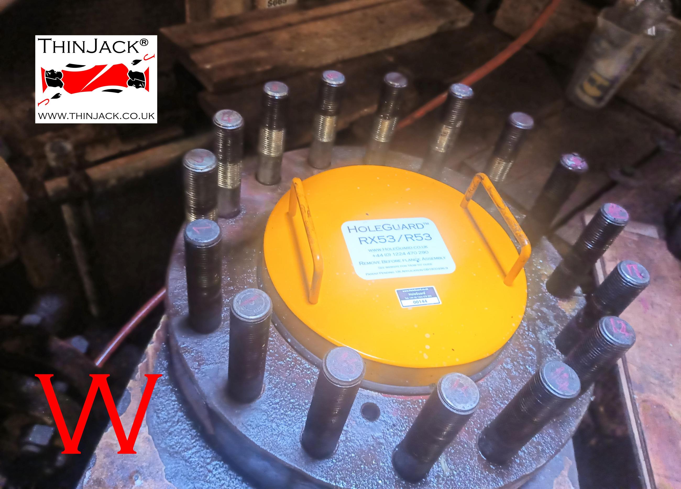 HoleGuard™ Wellbore, Hanger and Seal Area Protector | Technology Catalogue